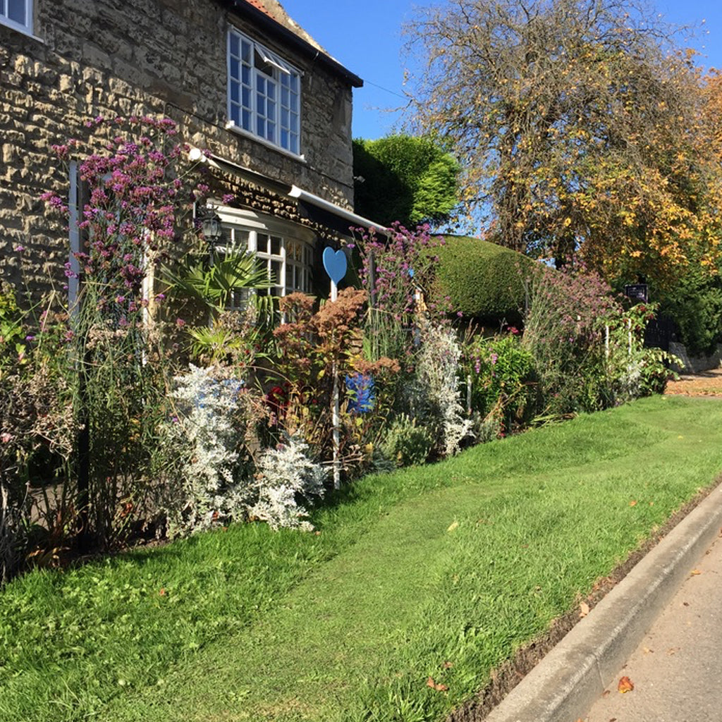 Hic! supports The BLUE Campaign Restoring Biodiversity across the UK