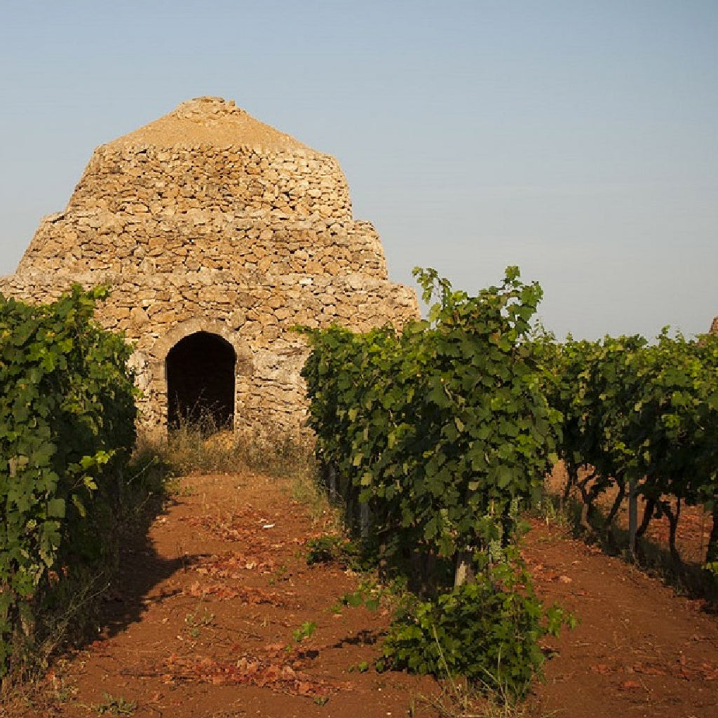 Shop for Wines from the Apulia (Puglia) Wine Region of Italy at Hic!