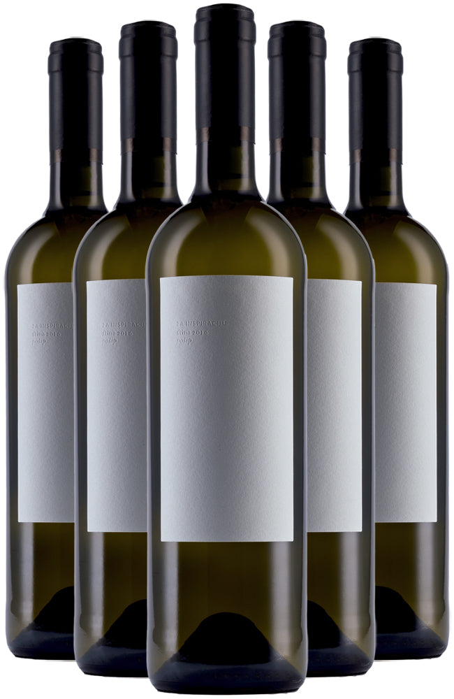 Buy Stina Pošip Jako Vino Croatian White Wine Online at Hic!