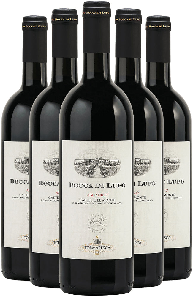Buy Bocca di Lupo Aglianico Castel del Monte Online at Hic!